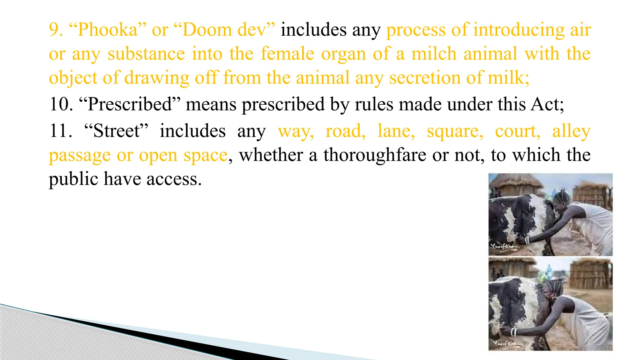 Animal cruelty Act 1960 JURISPRUDENCE.pptx