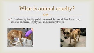 Animal cruelty by omar flores | PPTX