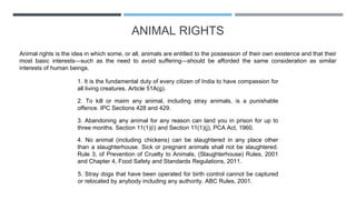 Animal cruelty final | PPTX