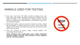 Animal cruelty final | PPTX