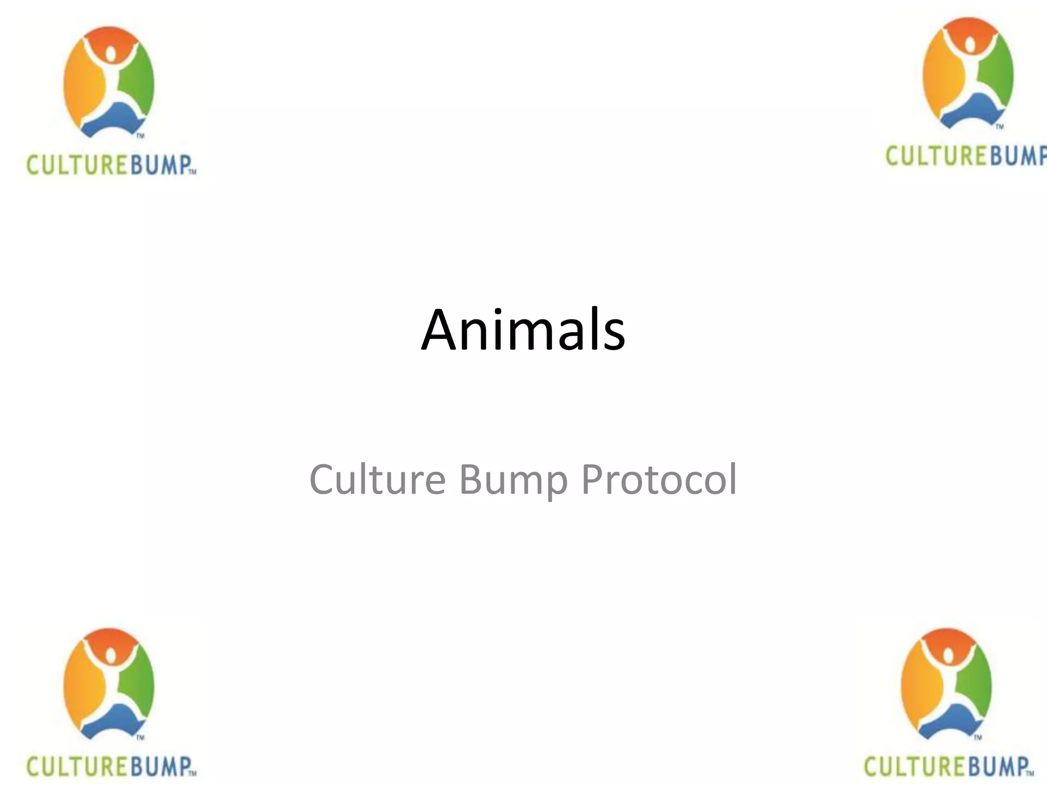 Animals moving beyond culture bumps | PPT