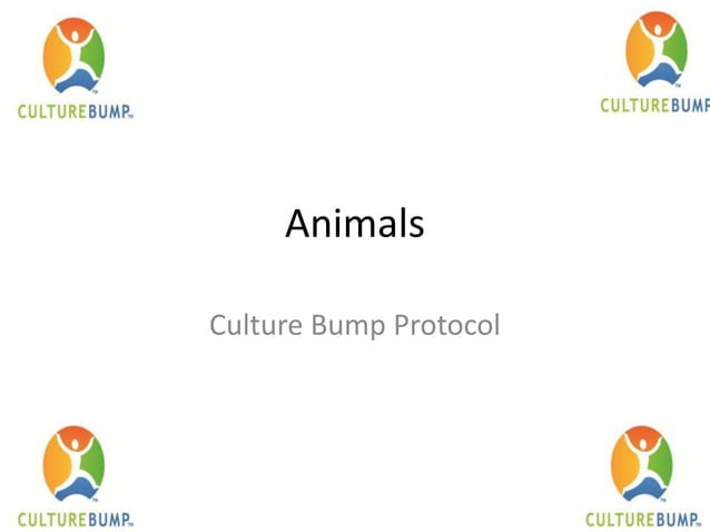 Animals moving beyond culture bumps | PPT