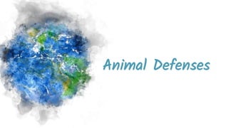 Animal Defenses An Information Study Non-Fiction Grade 3 | PPT
