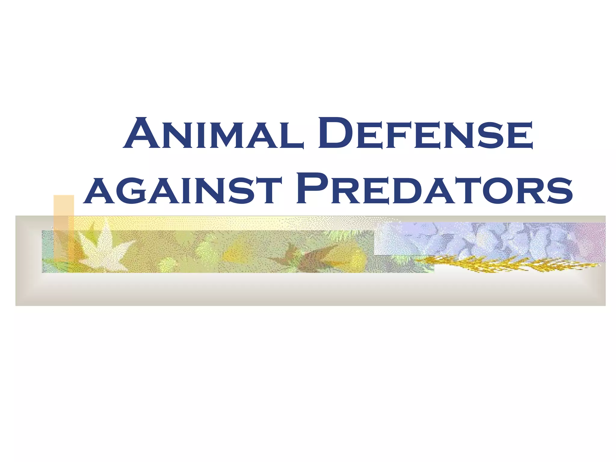 Animal defense vs predators | PPT