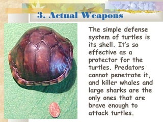 Animal defense vs predators | PPT