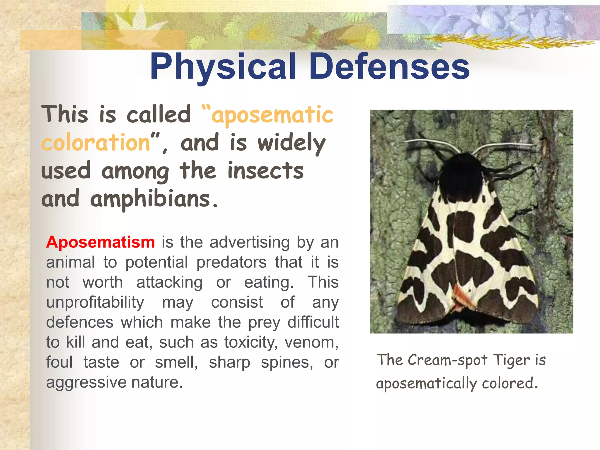 AnimalDefensevsPredators.pptx