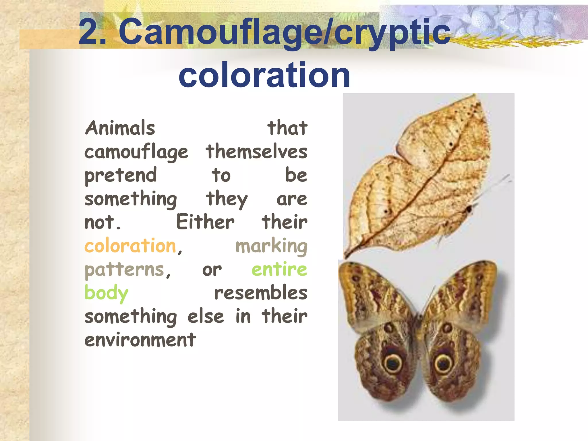 AnimalDefensevsPredators.pptx