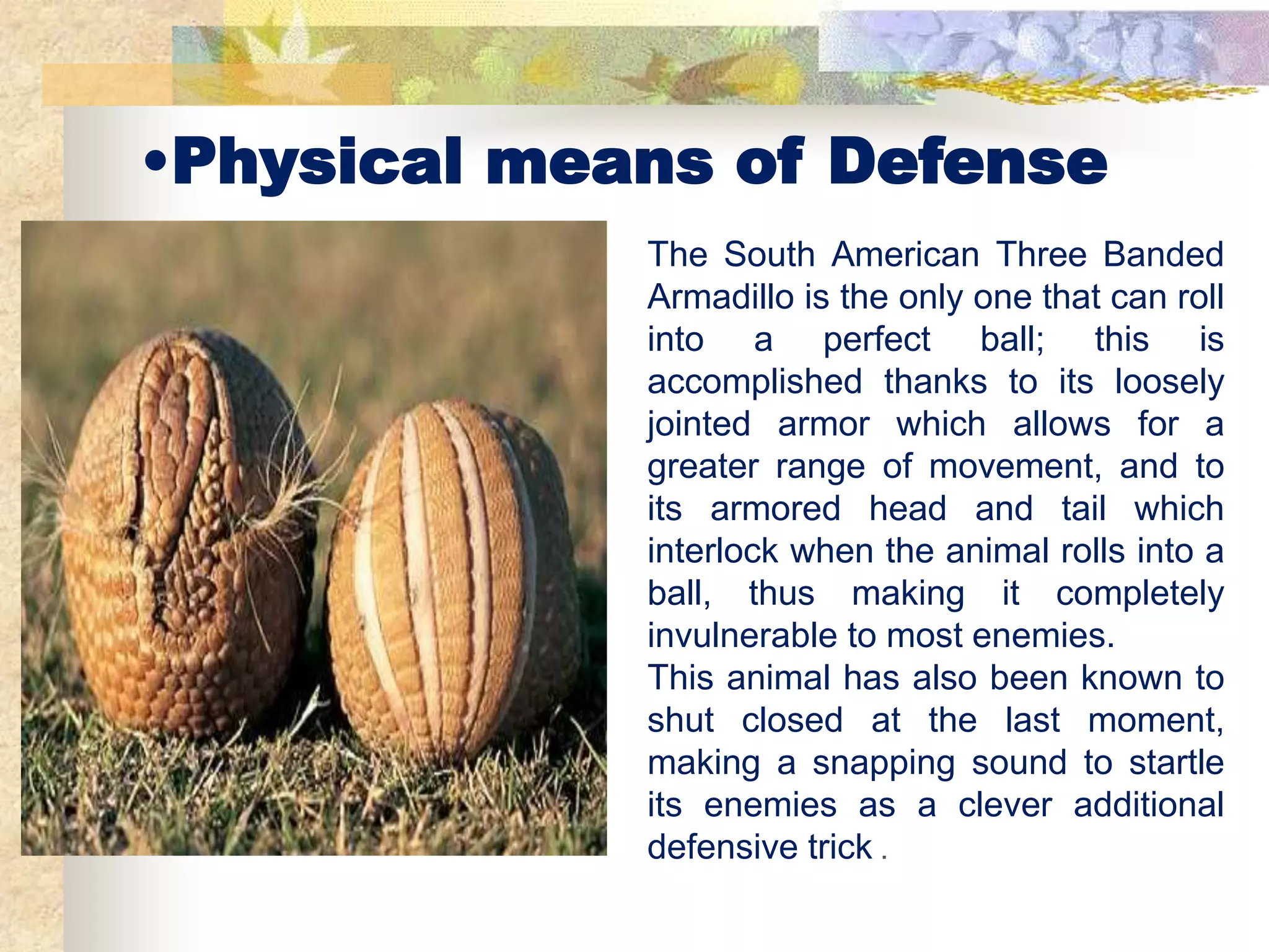 AnimalDefensevsPredators.pptx