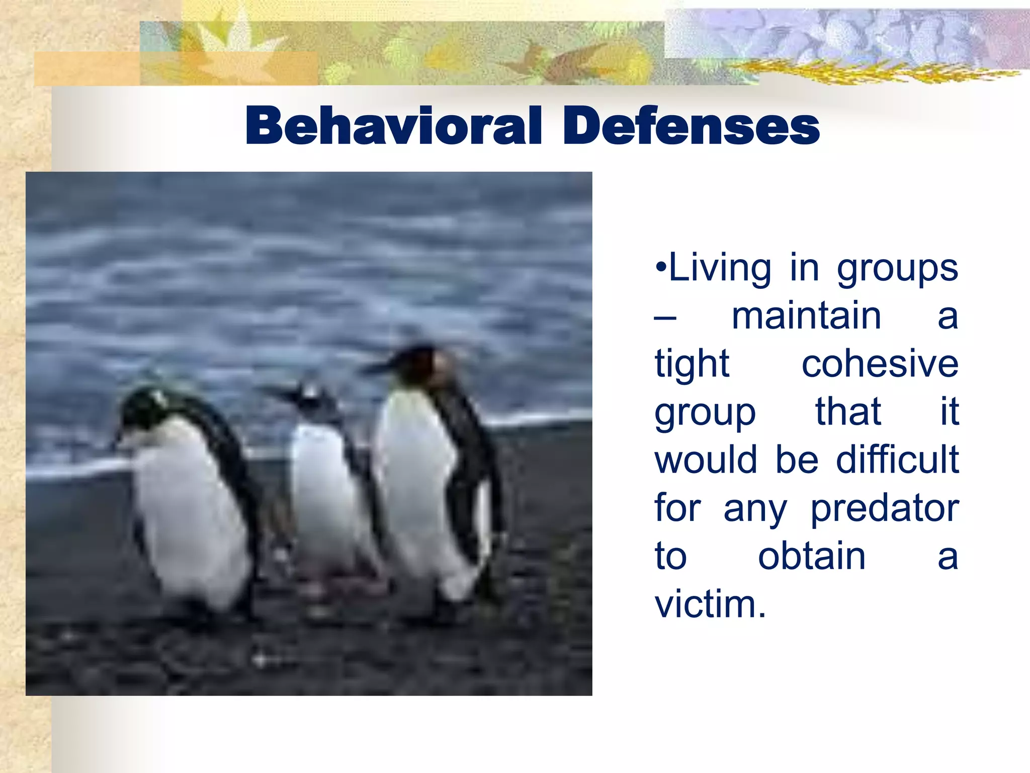 AnimalDefensevsPredators.pptx