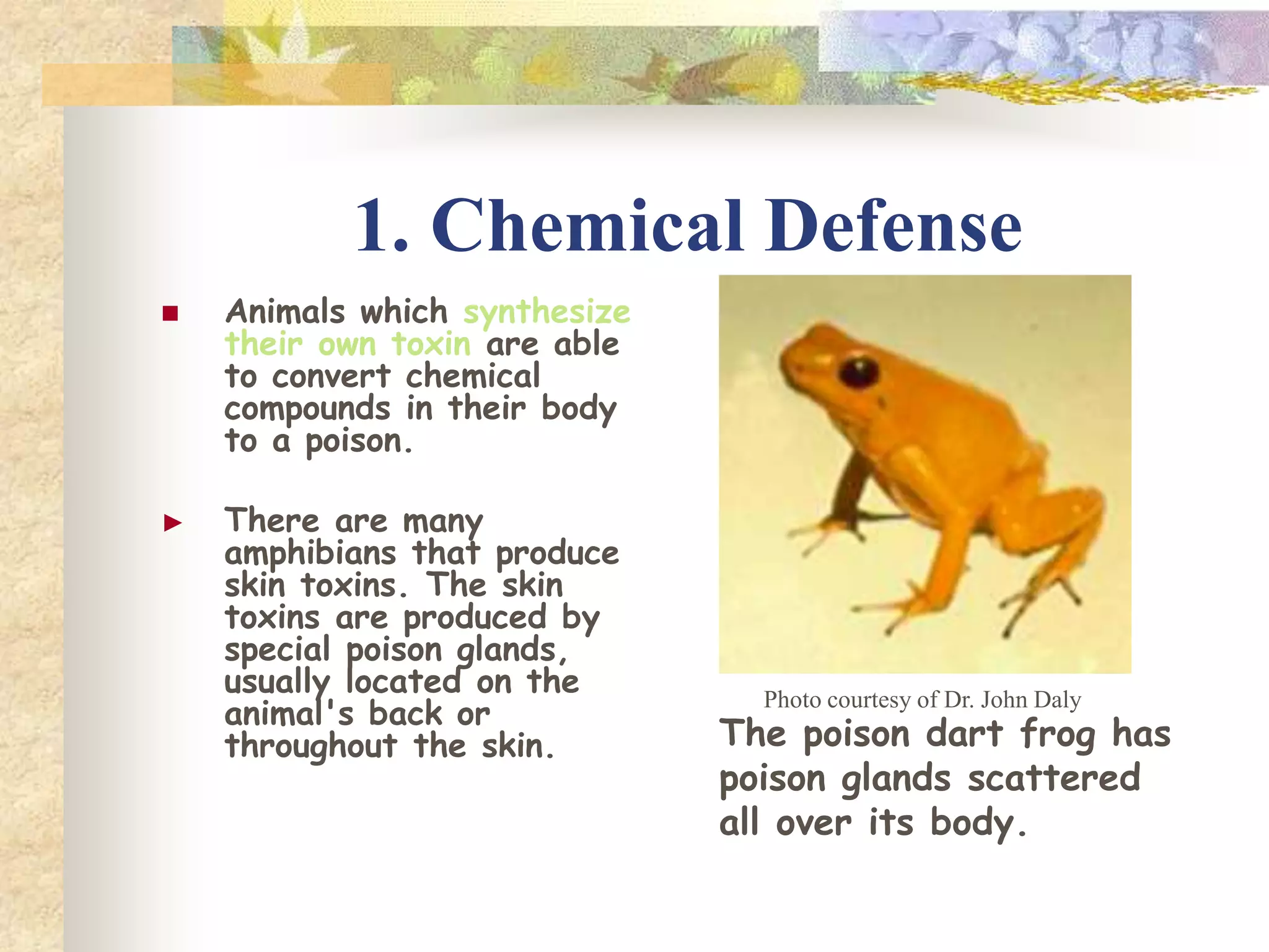 AnimalDefensevsPredators.pptx