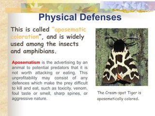 AnimalDefensevsPredators.pptx