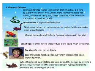 Animal defenssive adaptation | PPT