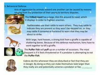 Animal defenssive adaptation | PPT