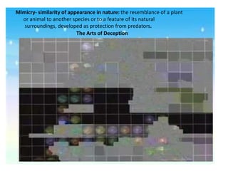 Animal defenssive adaptation | PPT