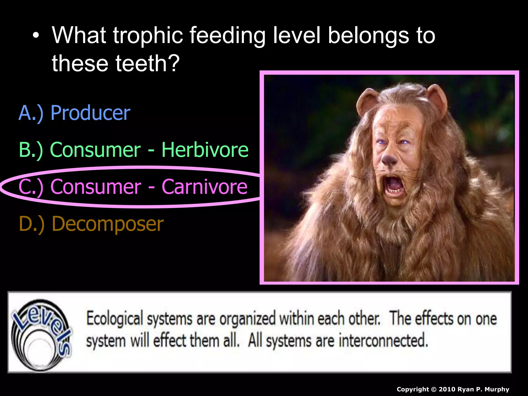 Animal Dentition Lesson PowerPoint, Teeth, Quiz, Types of Teeth | PPTX