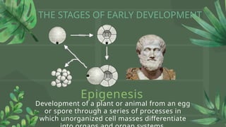 "From Cell to Organism: An Exploration of Animal Development" | PPTX