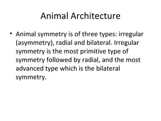Animal development and architecture | PPT