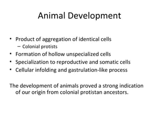 Animal development and architecture | PPT