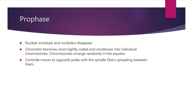 Animal development lsc presentation | PPTX