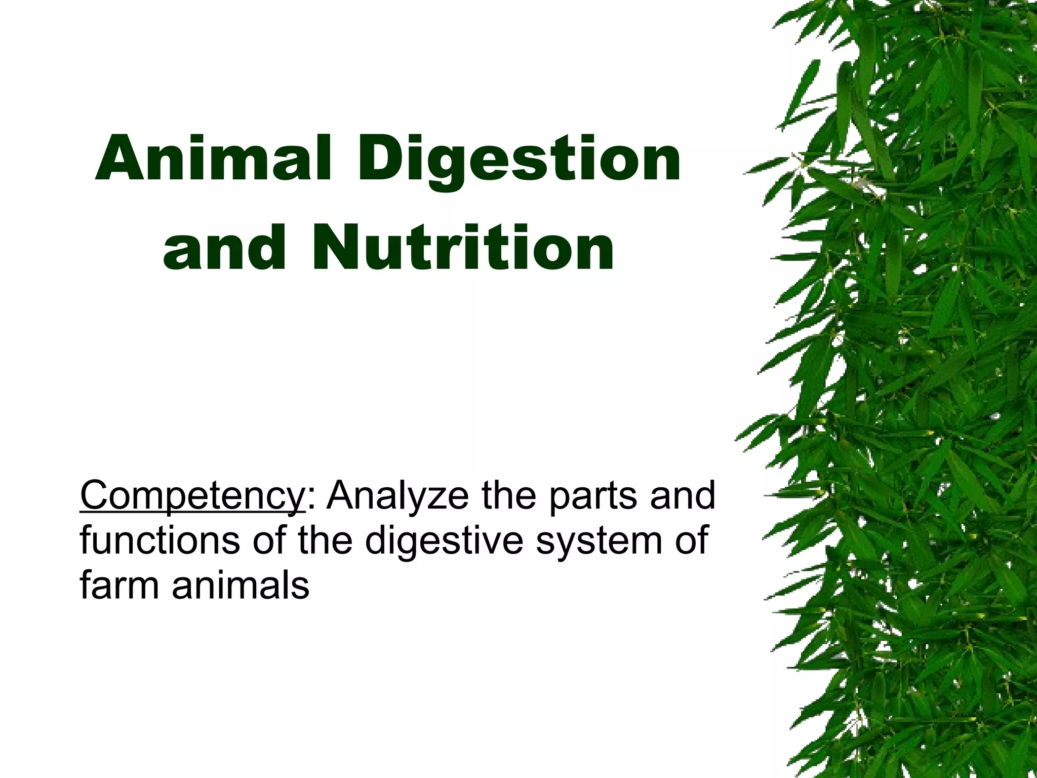 Animal Digestion | PPT