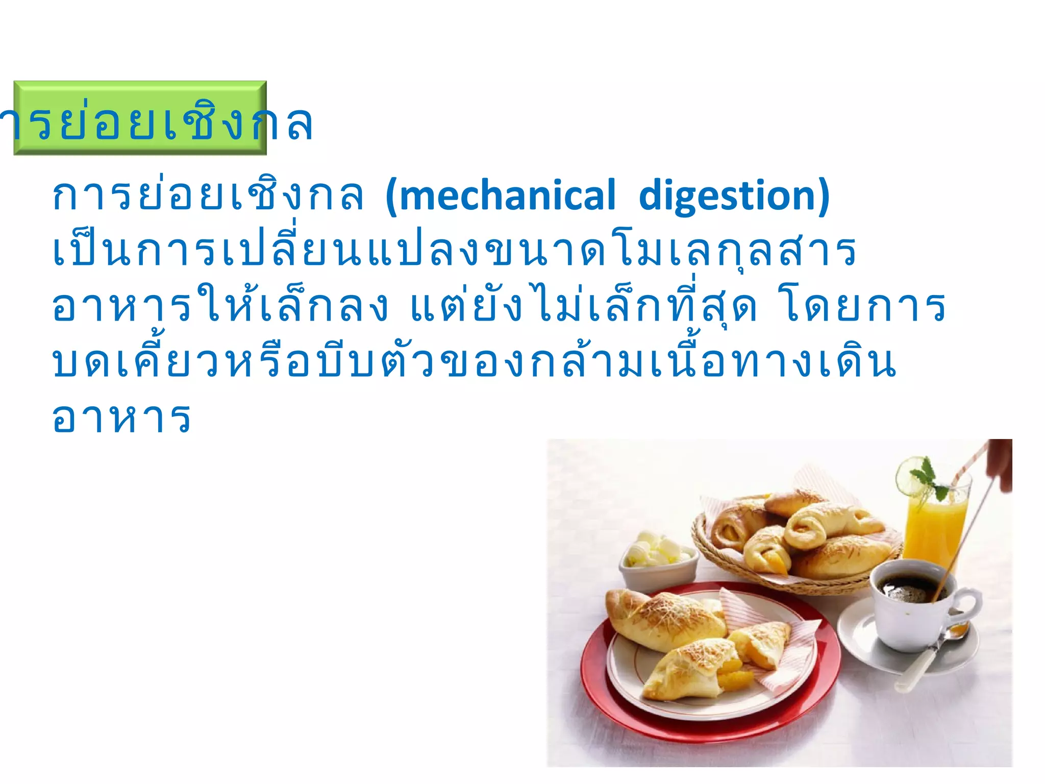Animal digestion | PPT