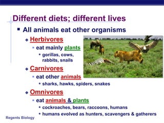 Animal digestion(final earthscience).ppt