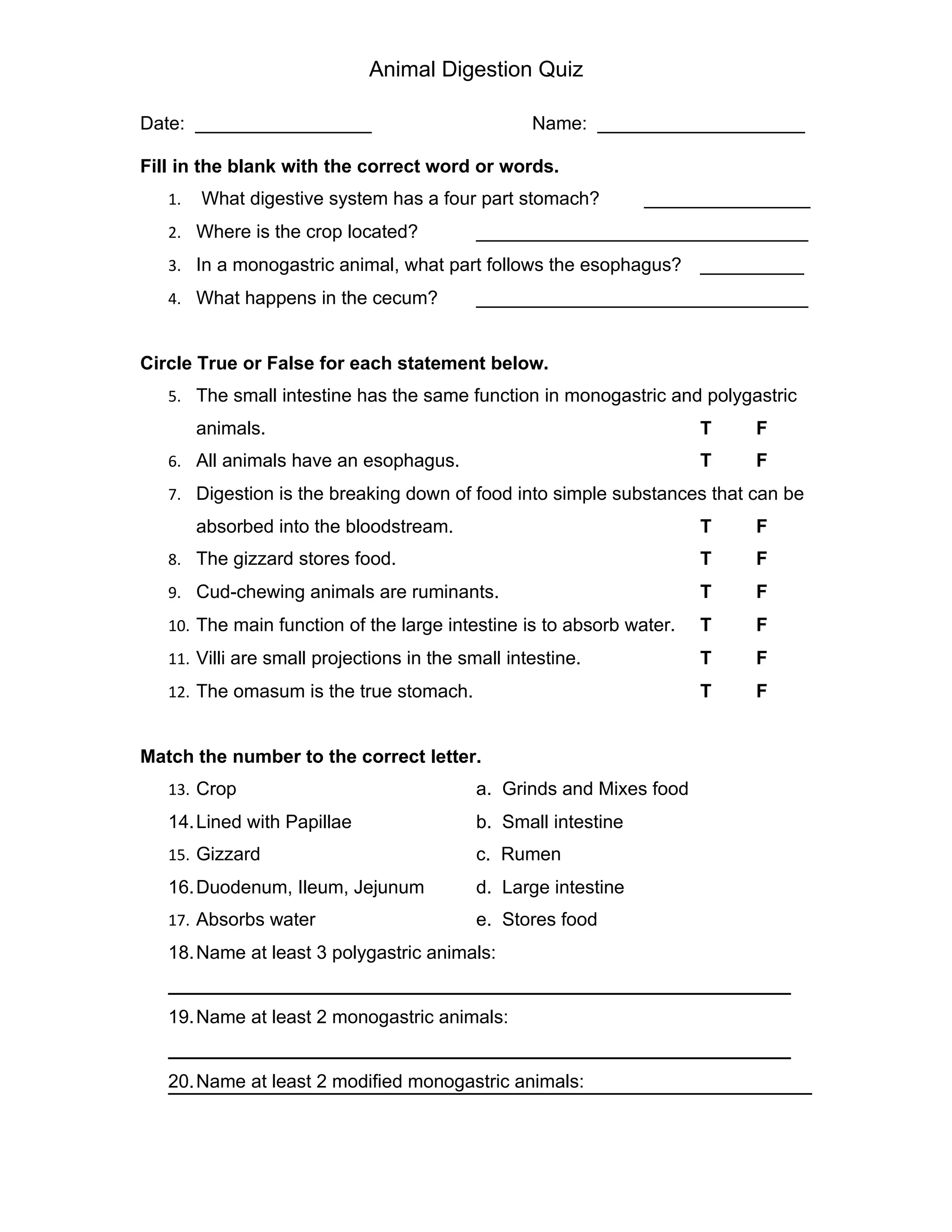 Animal Digestion Quiz | DOC