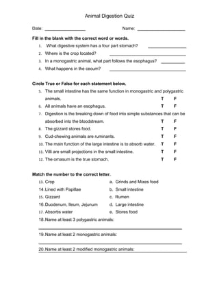 Animal Digestion Quiz | DOC