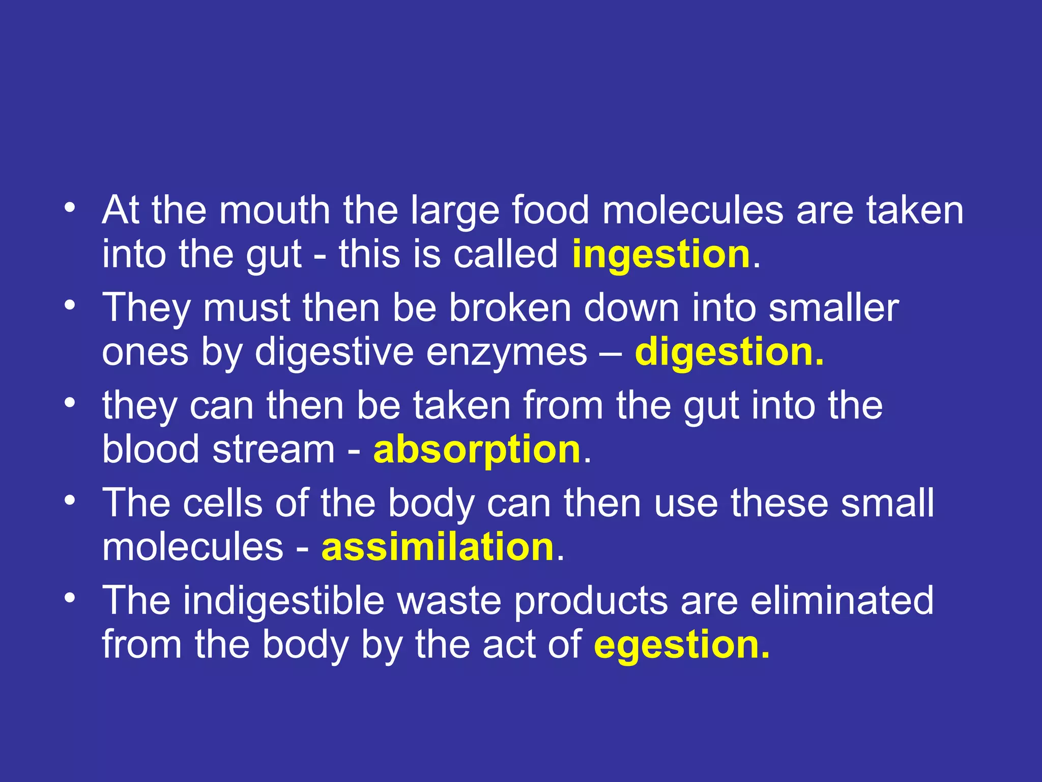 Animal digestive system | PPT