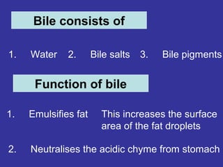 Animal digestive system | PPT