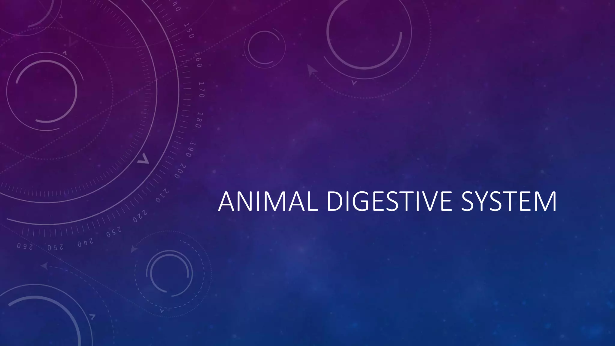 Animal Digestive System | PPTX