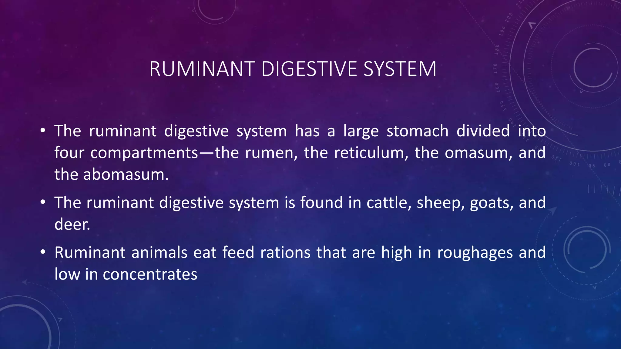 Animal Digestive System | PPTX