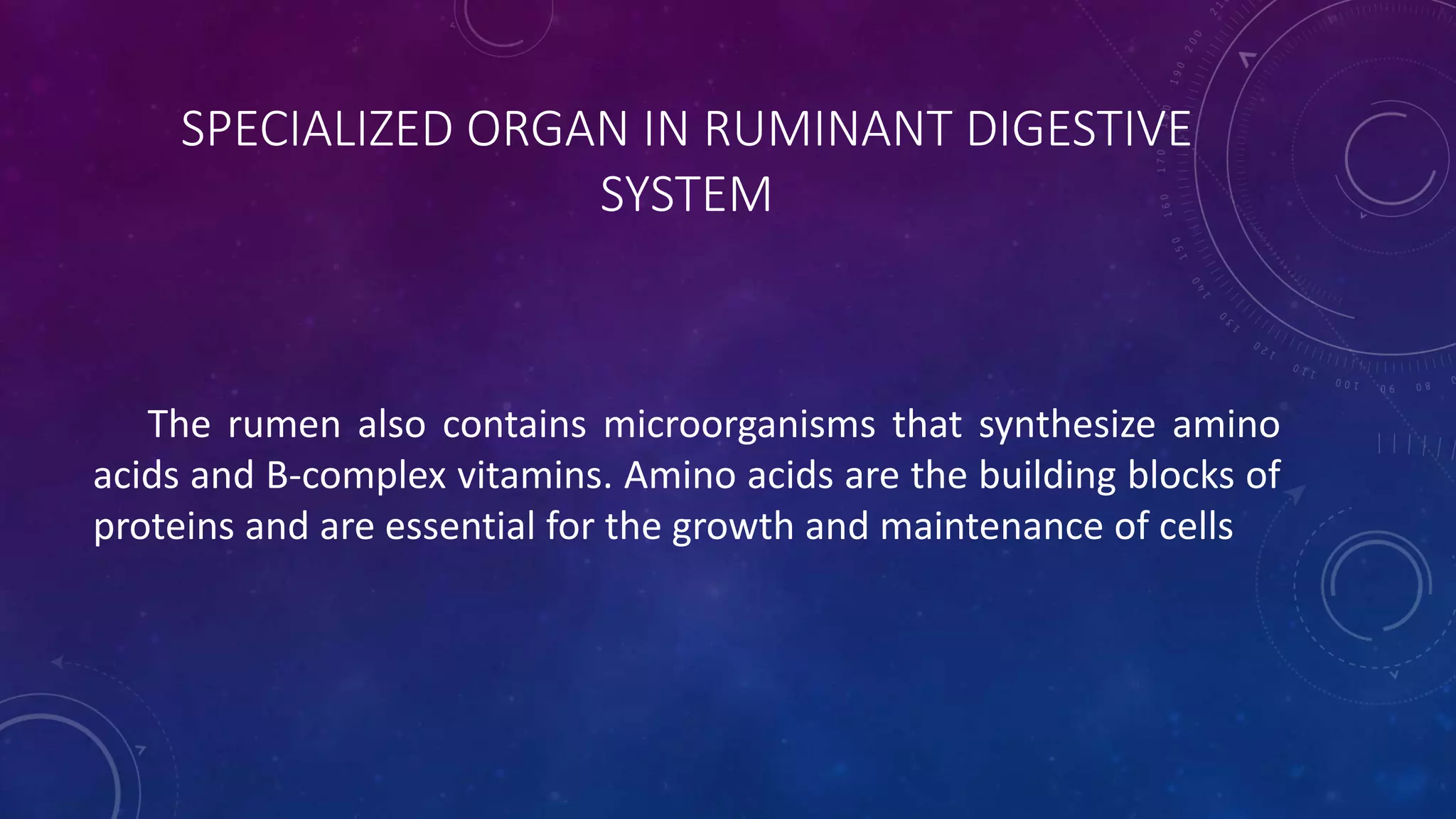 Animal Digestive System | PPTX