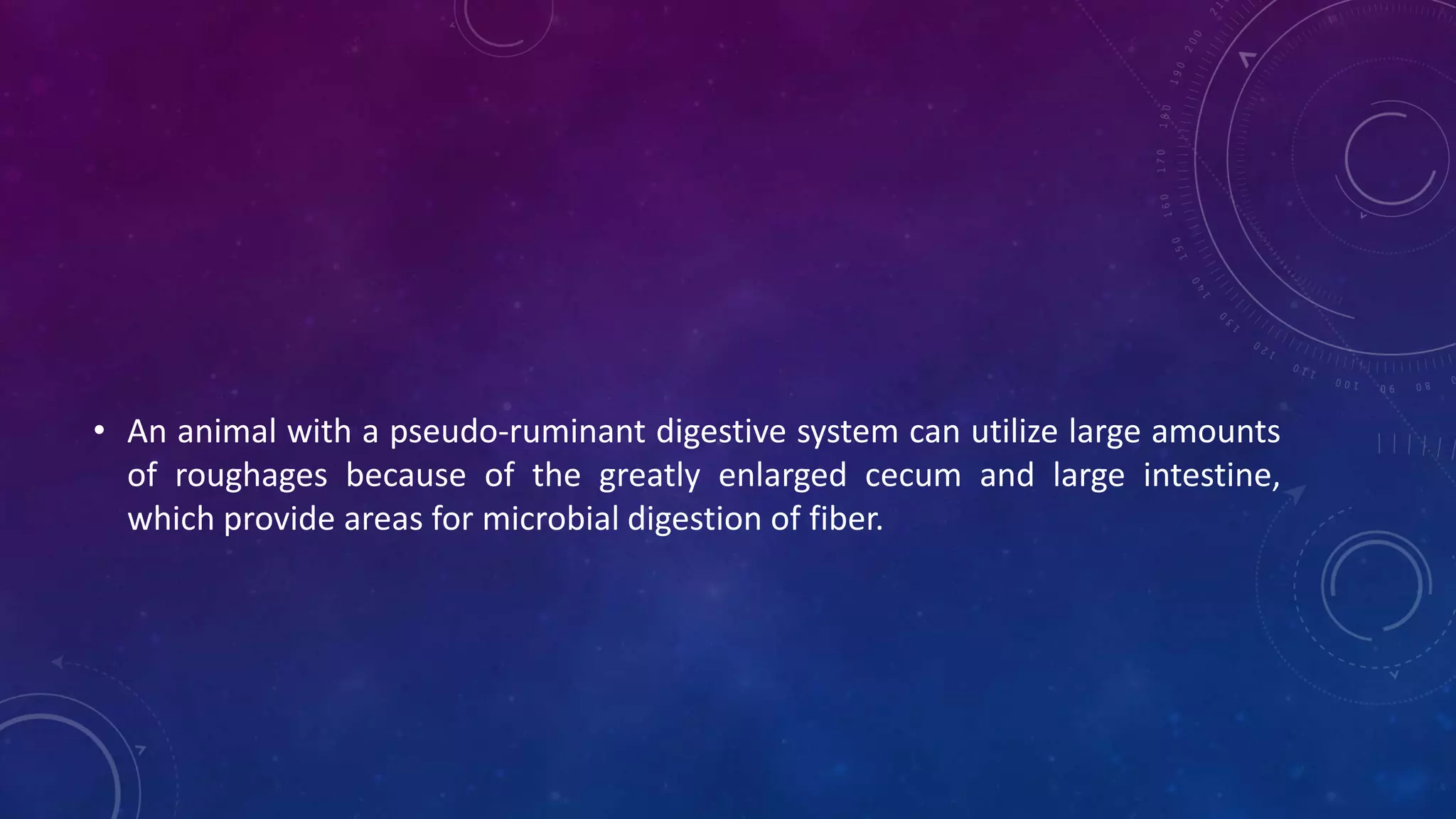 Animal Digestive System | PPTX