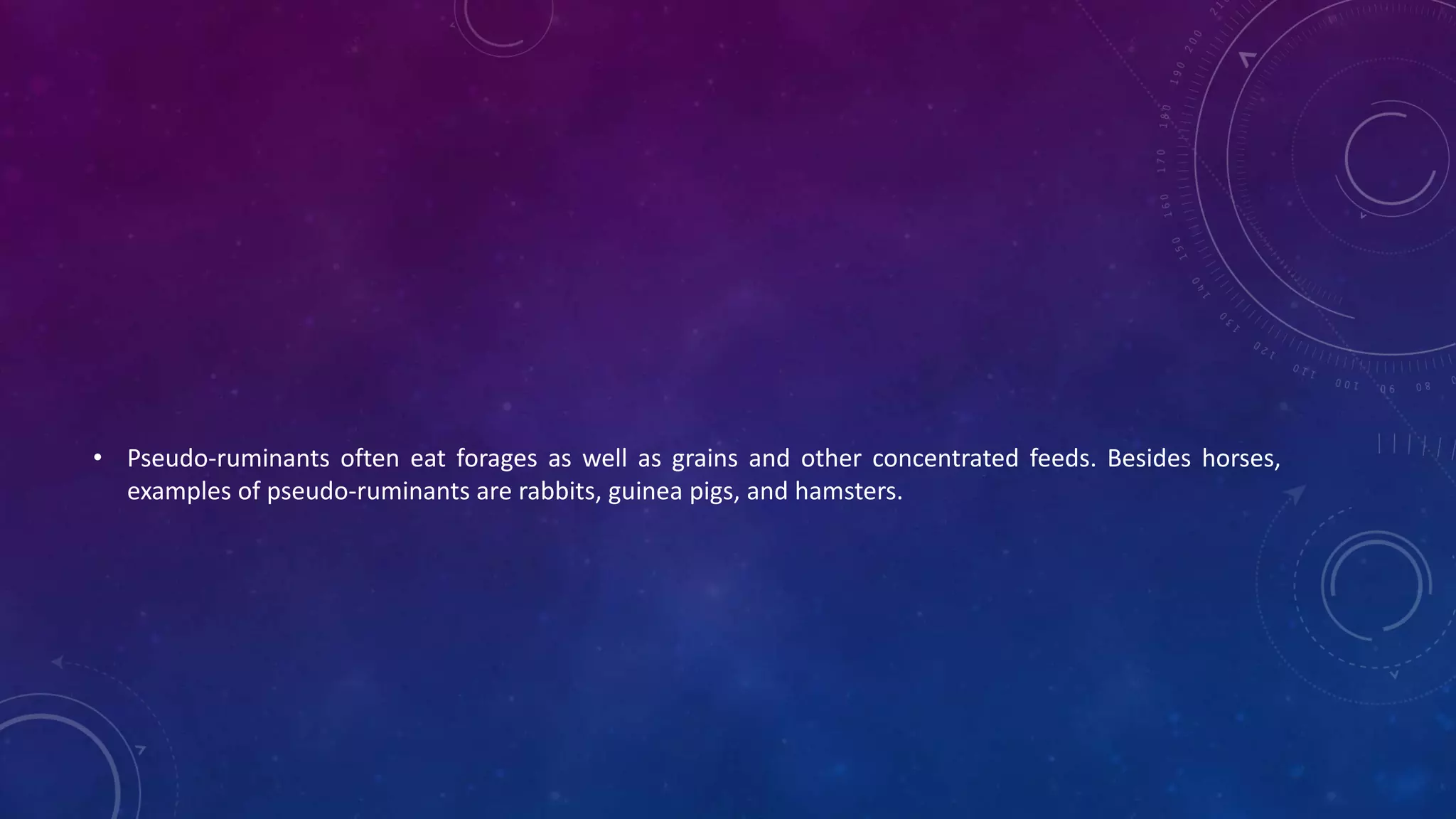 Animal Digestive System | PPTX