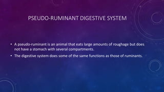 Animal Digestive System | PPTX