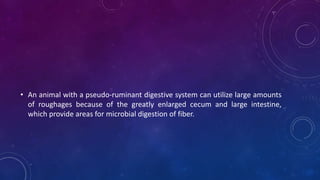 Animal Digestive System | PPTX