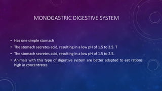 Animal Digestive System | PPTX