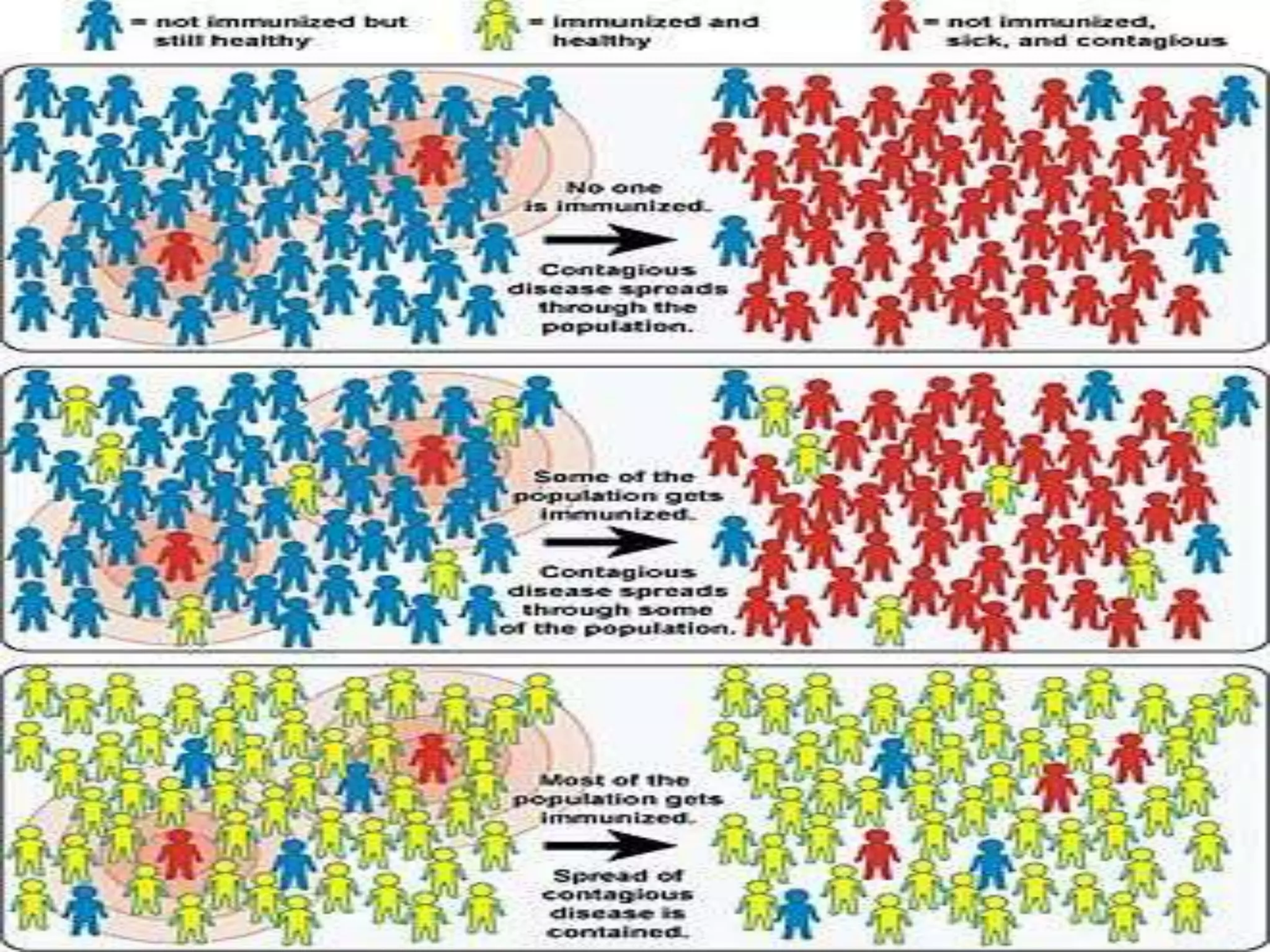 Animal Disease Control | PPTX