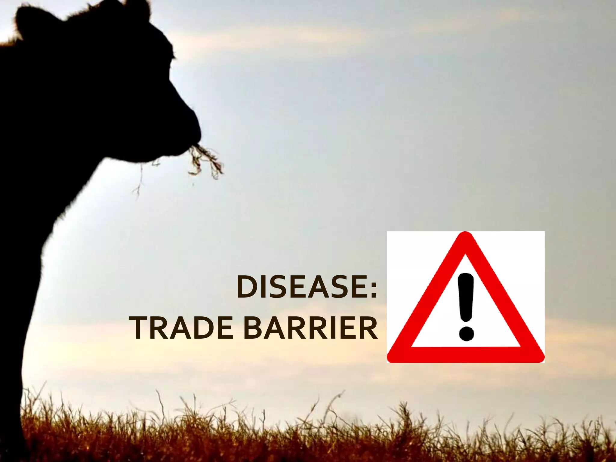 Animal Disease Control | PPTX