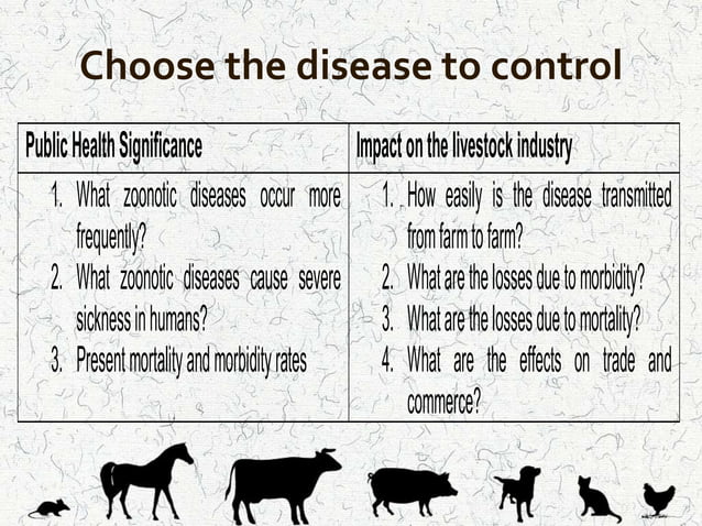 Animal Disease Control | PPTX | Infectious Diseases | Diseases and ...