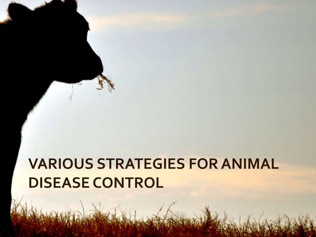 Animal Disease Control | PPTX | Infectious Diseases | Diseases and ...