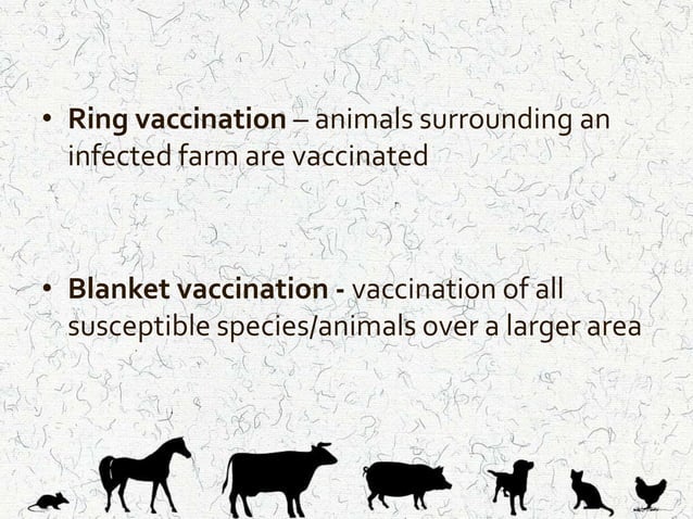 Animal Disease Control | PPTX | Infectious Diseases | Diseases and ...