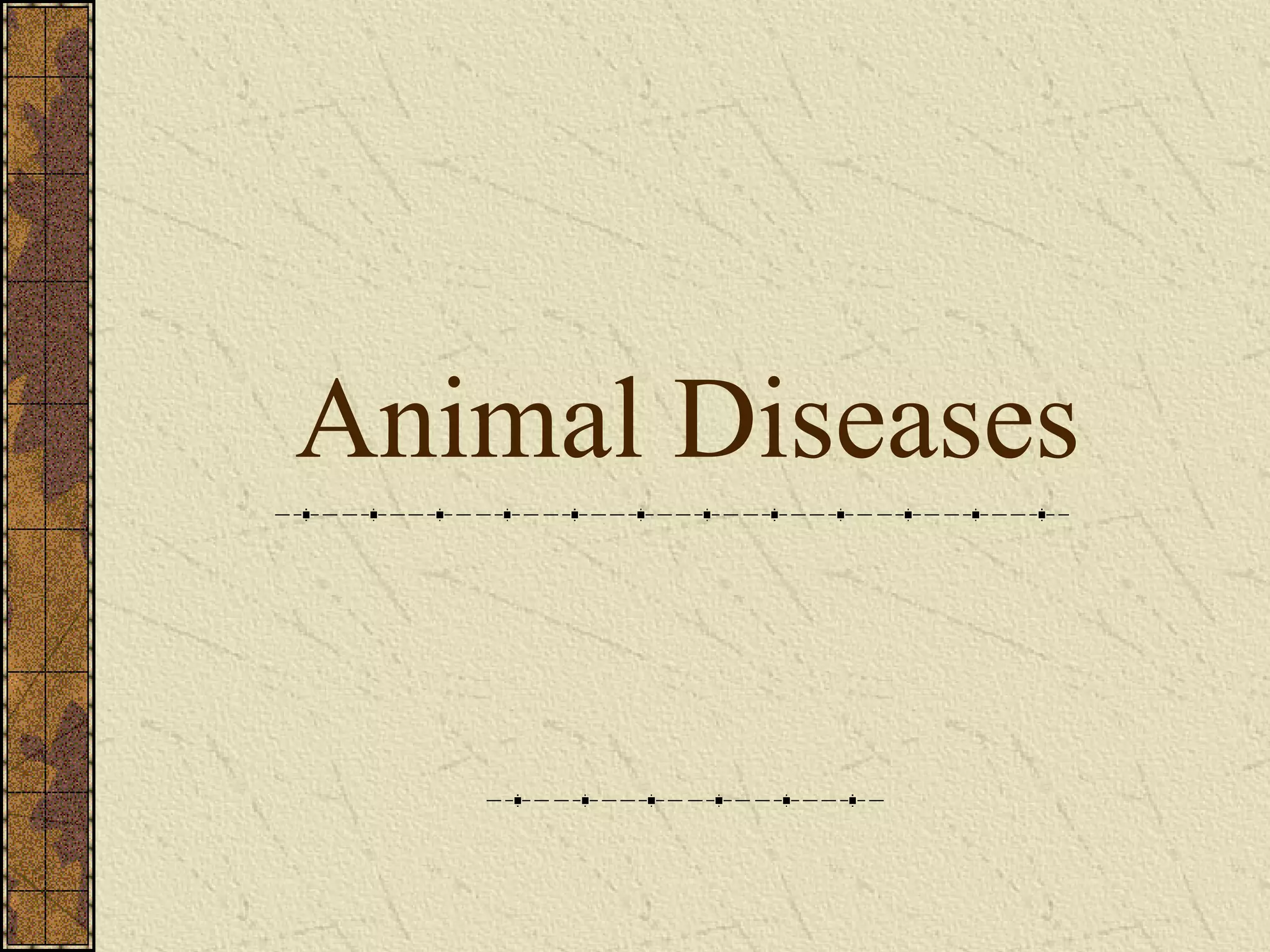 Animal diseases | PPT