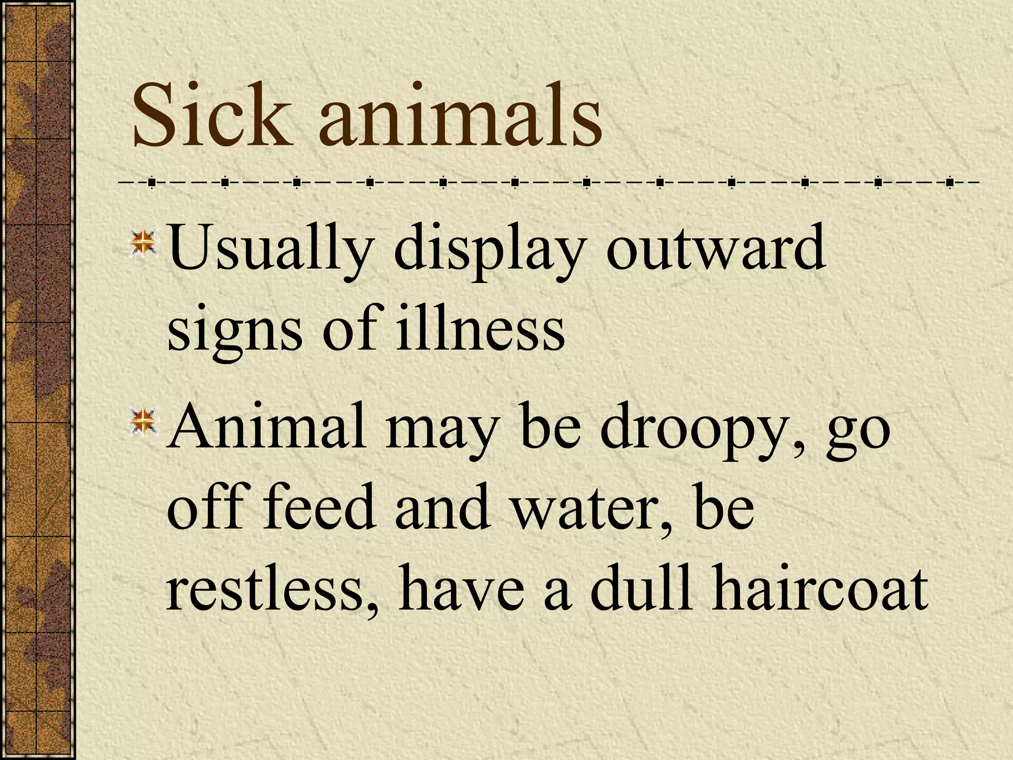 Animal diseases | PPT