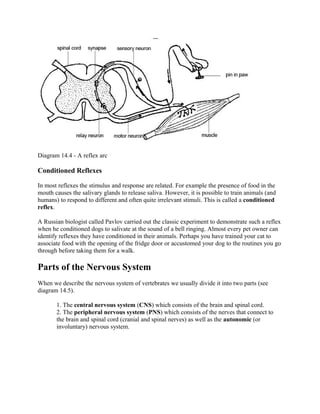 Animal diseases medicine ii notes | PDF