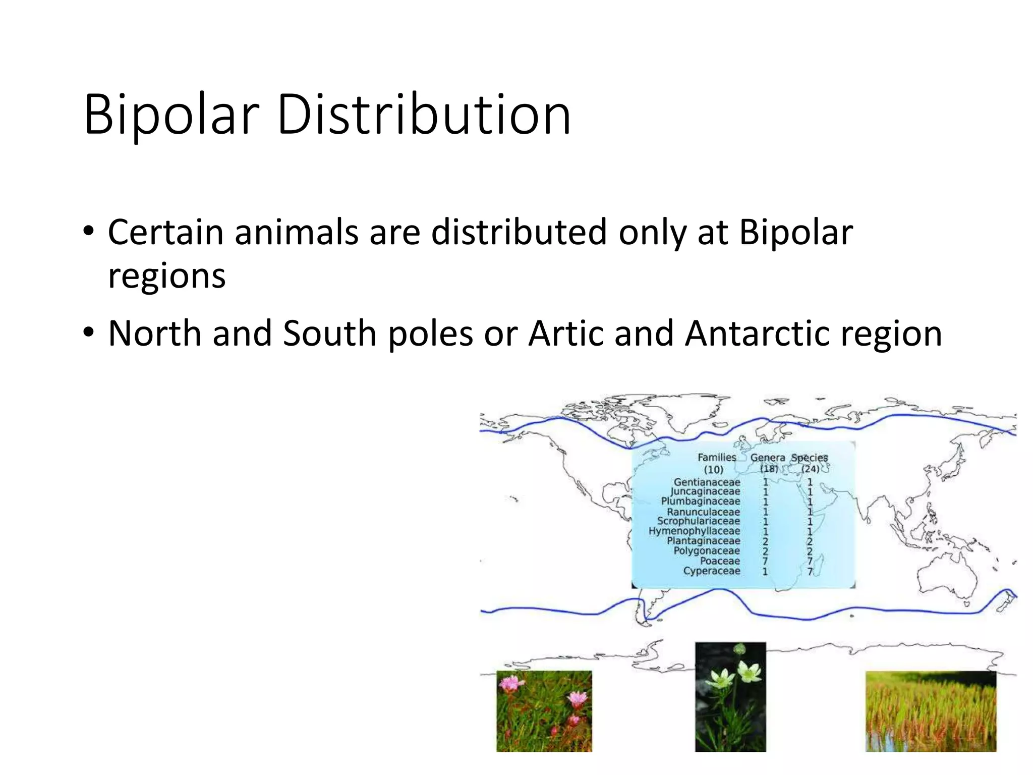 Animal distribution on earth | PPTX