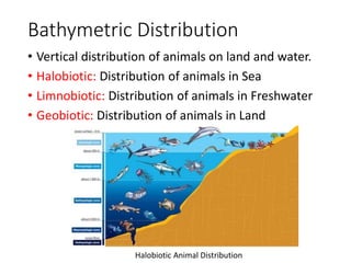 Animal distribution on earth | PPTX
