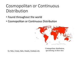 Animal distribution on earth | PPTX