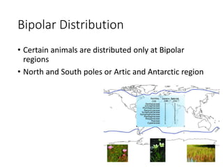 Animal distribution on earth | PPTX